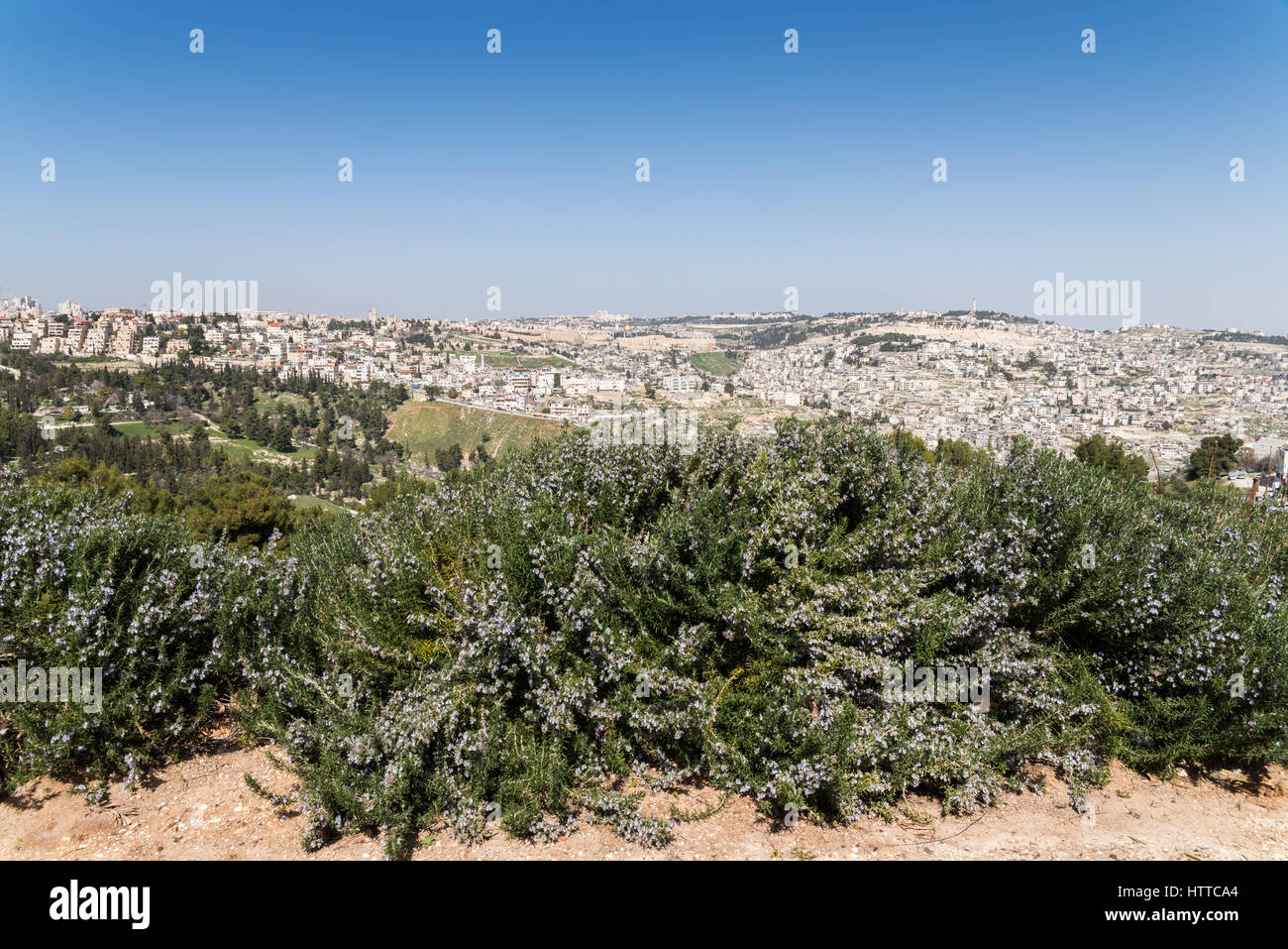 A view of Jerusalem from the "Armon Hanatziv" (High Commisioners ...