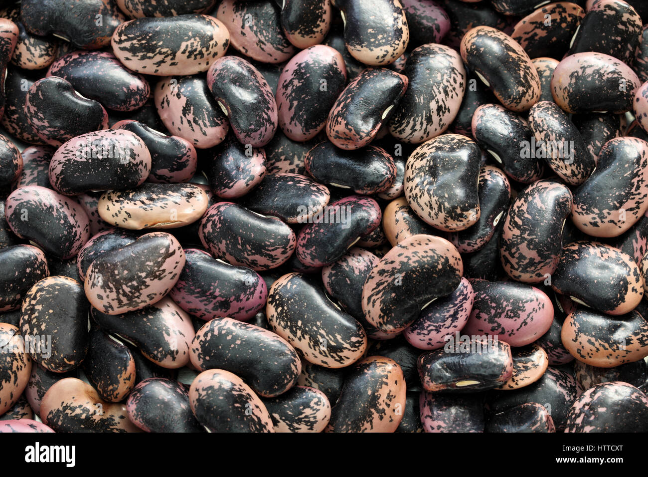 scarlet runner beans Stock Photo - Alamy