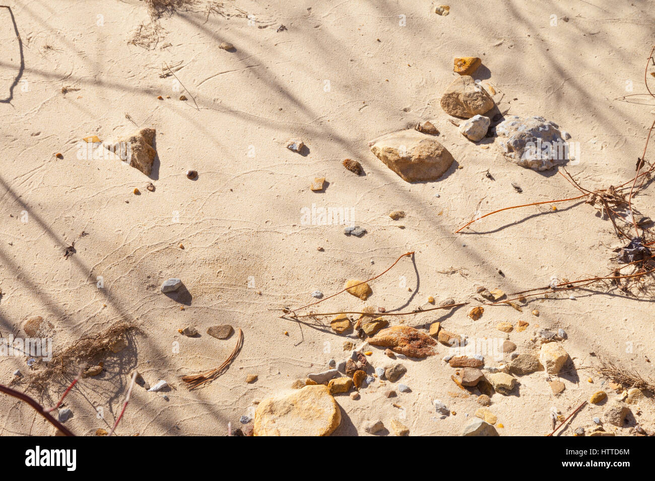 Sand, sticks, rocks and pebbles on a beach background Stock Photo - Alamy