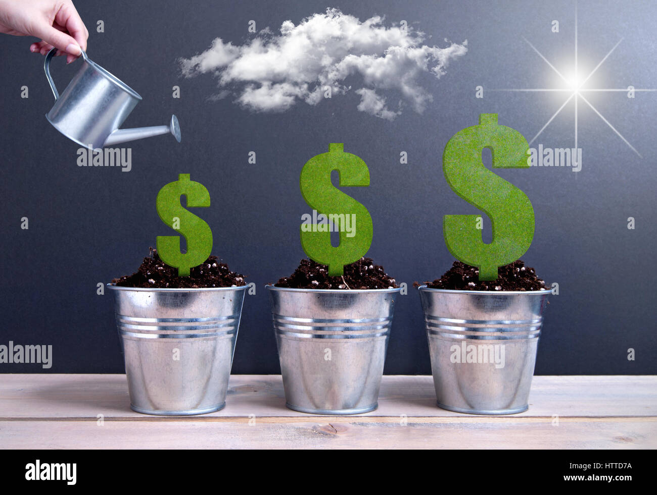 Dollar plants growing larger being watered Stock Photo - Alamy