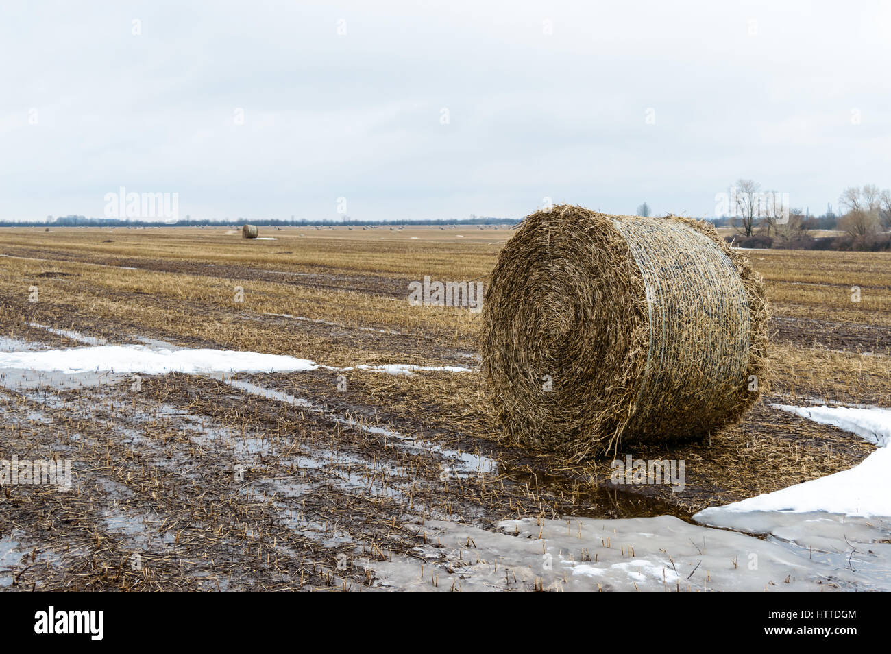 The straw left on the field after the grain harvest, the formation of ...