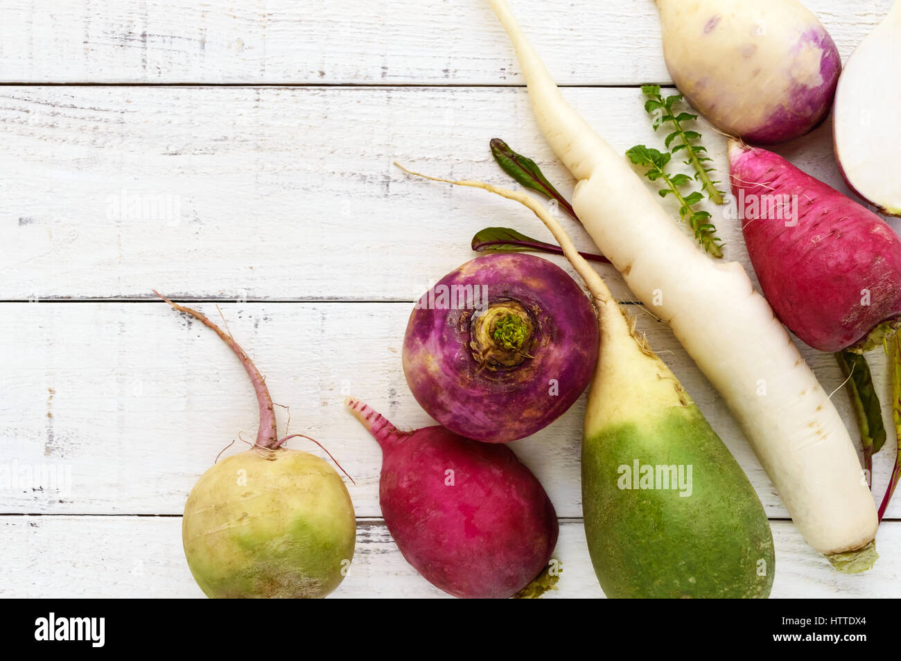 Several kinds of radish (daikon, Chinese red, green) on white wooden ...