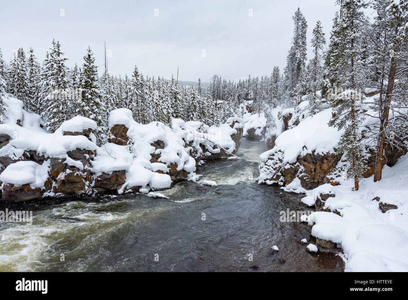 Beautiful winter scene in Yellowstone National Park, Wyoming, USA Stock ...