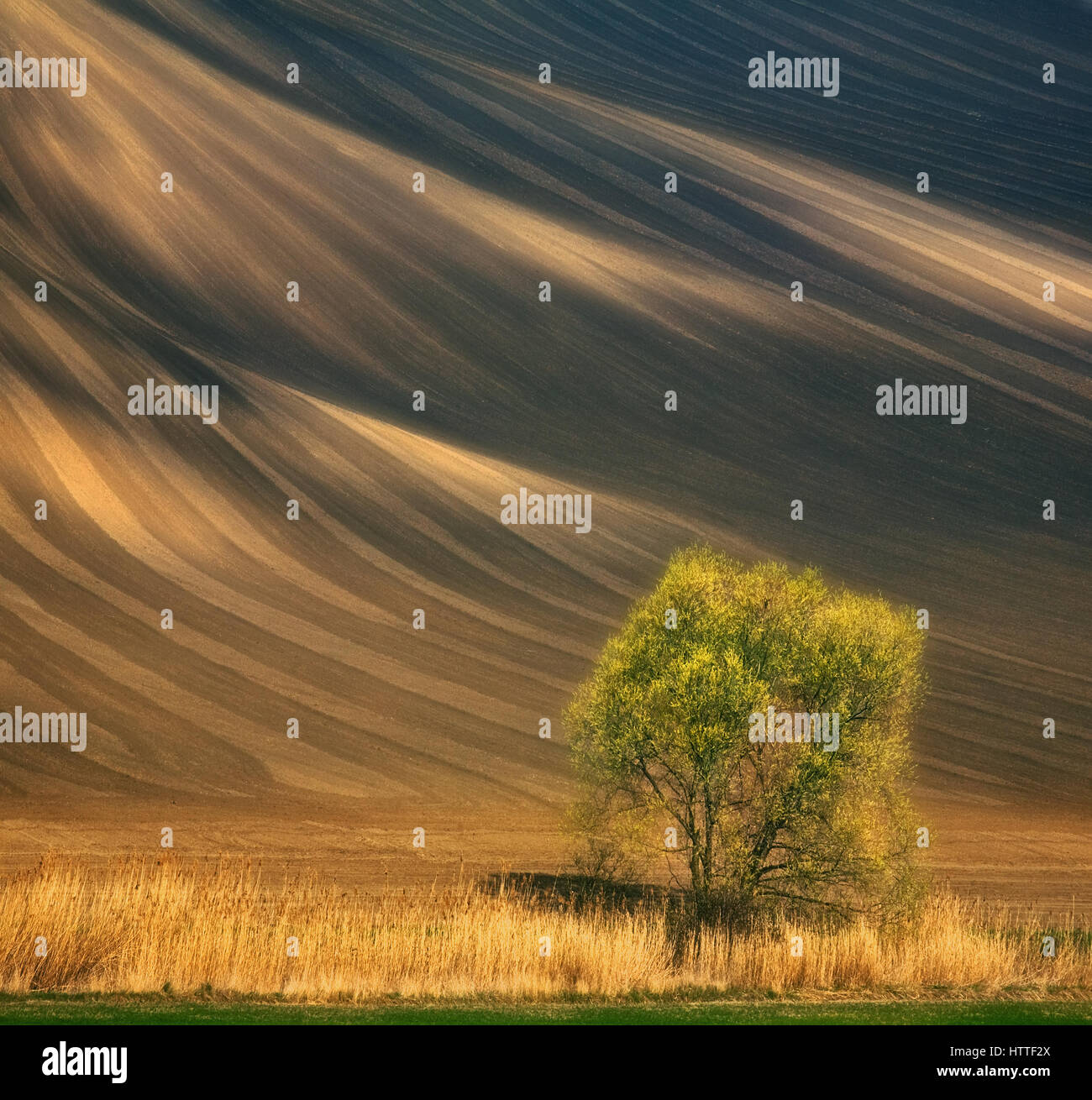 Kyjov hi-res stock photography and images - Alamy