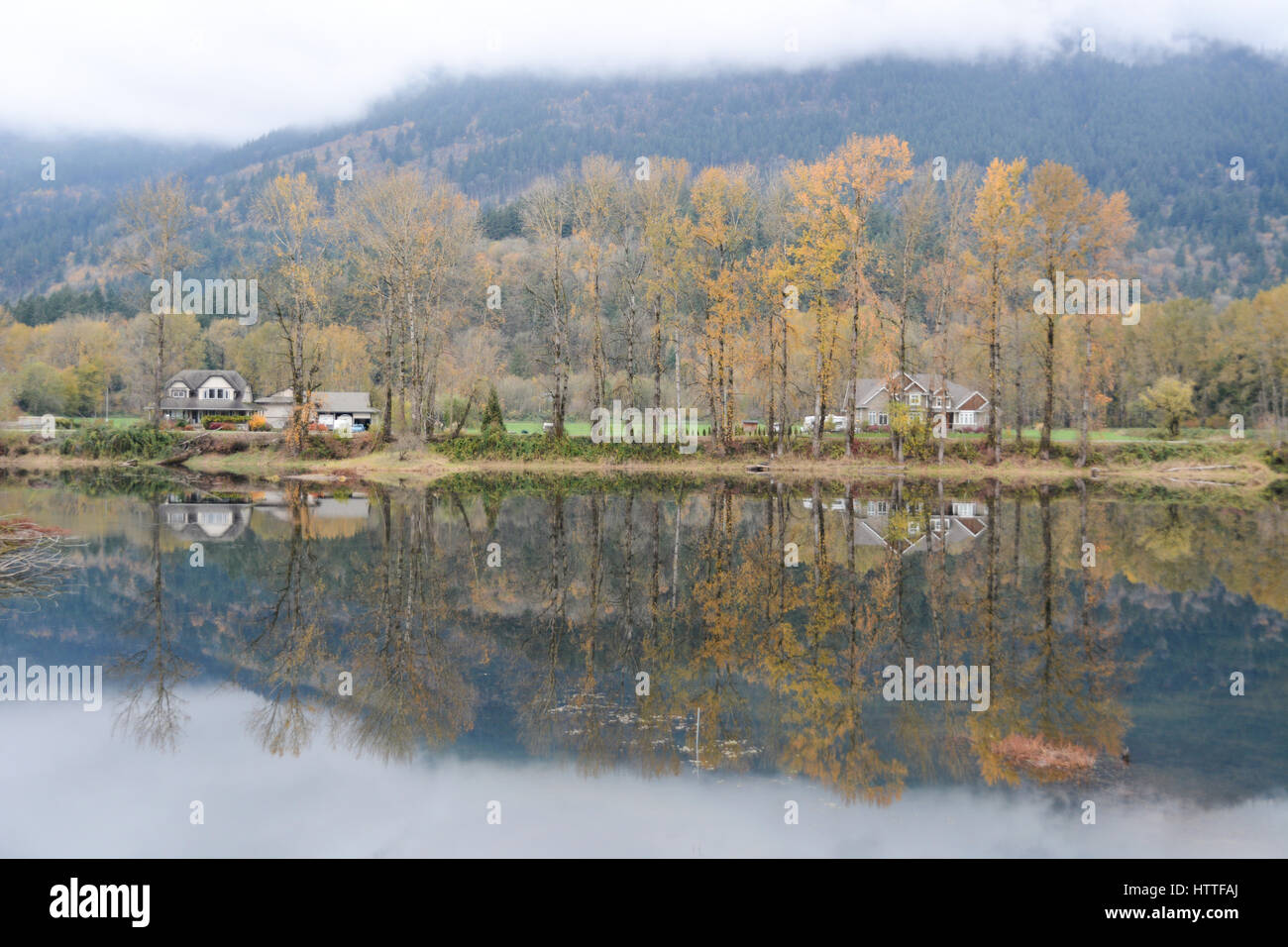 Colourful autumn trees reflected in the calm waters of the Fraser River ...