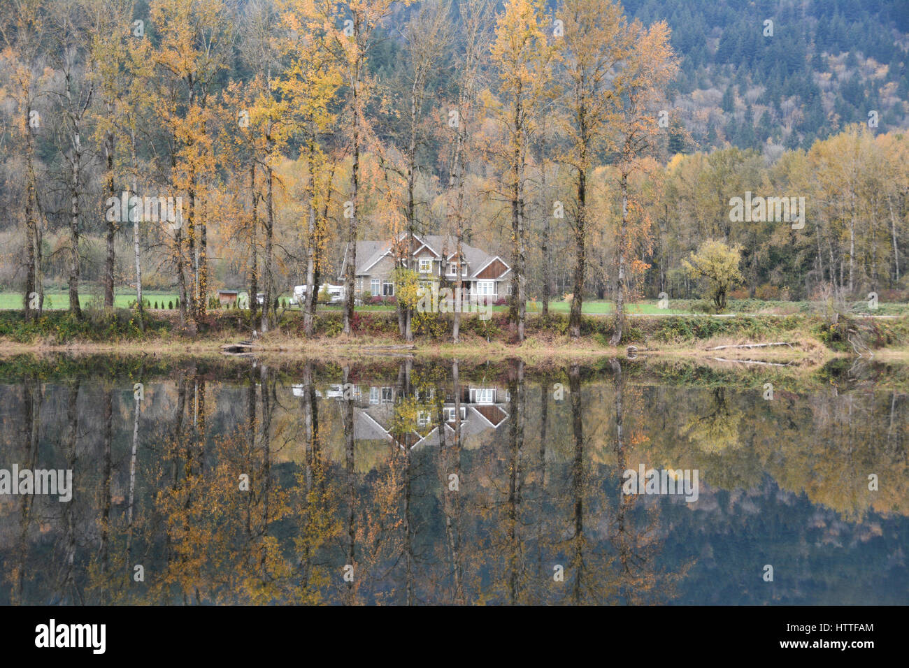 Colourful autumn trees reflected in the calm waters of the Fraser River ...