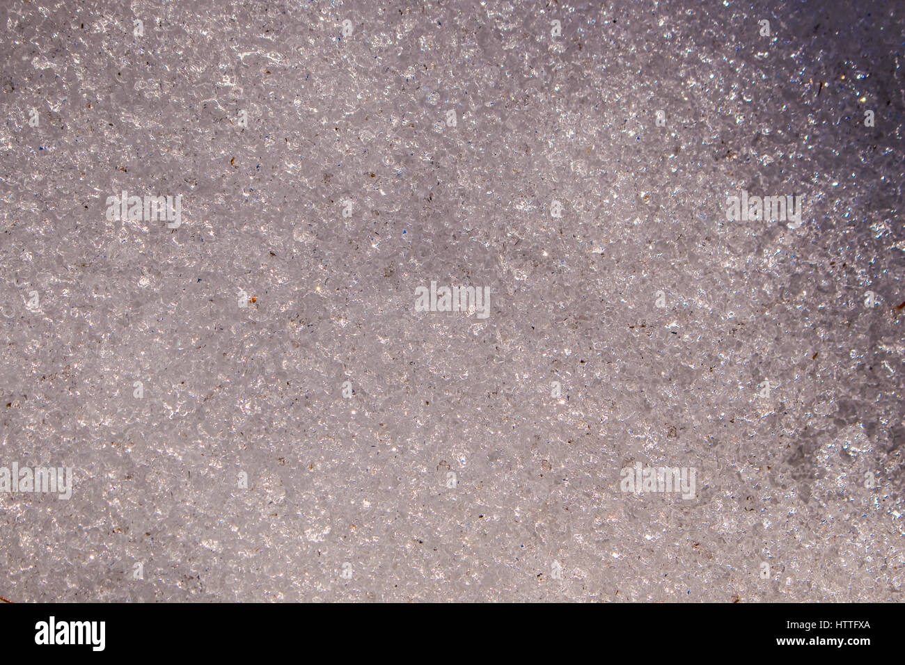 Spring melting snow macro on bright sun background Stock Photo - Alamy