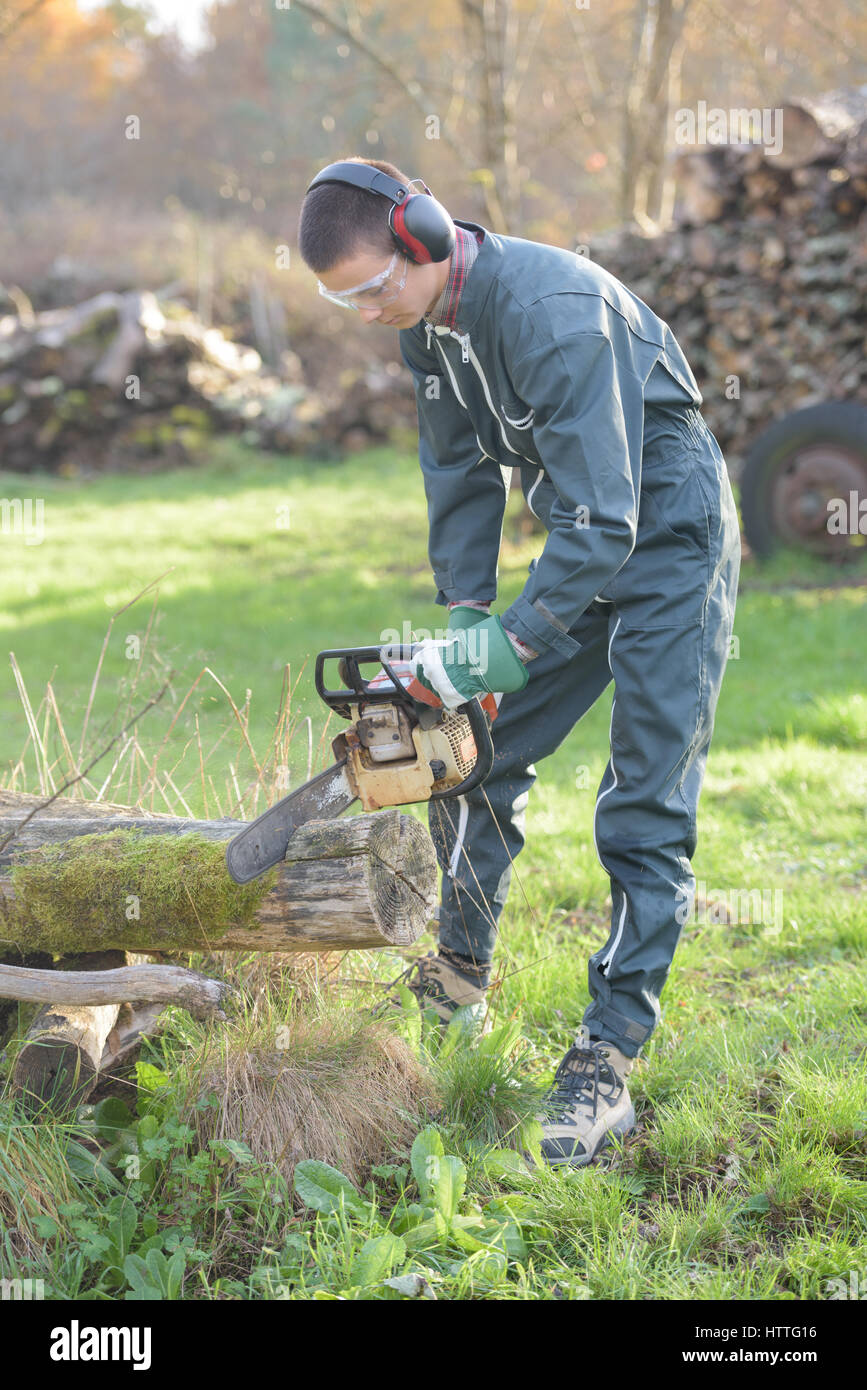 cutting a lumber Stock Photo - Alamy