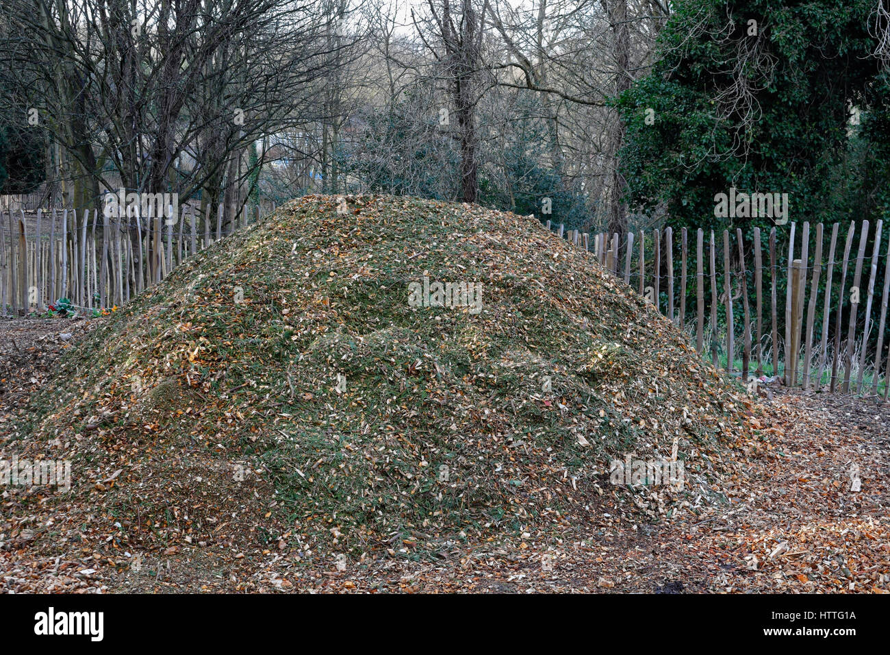 Wood chippings garden hi-res stock photography and images - Alamy