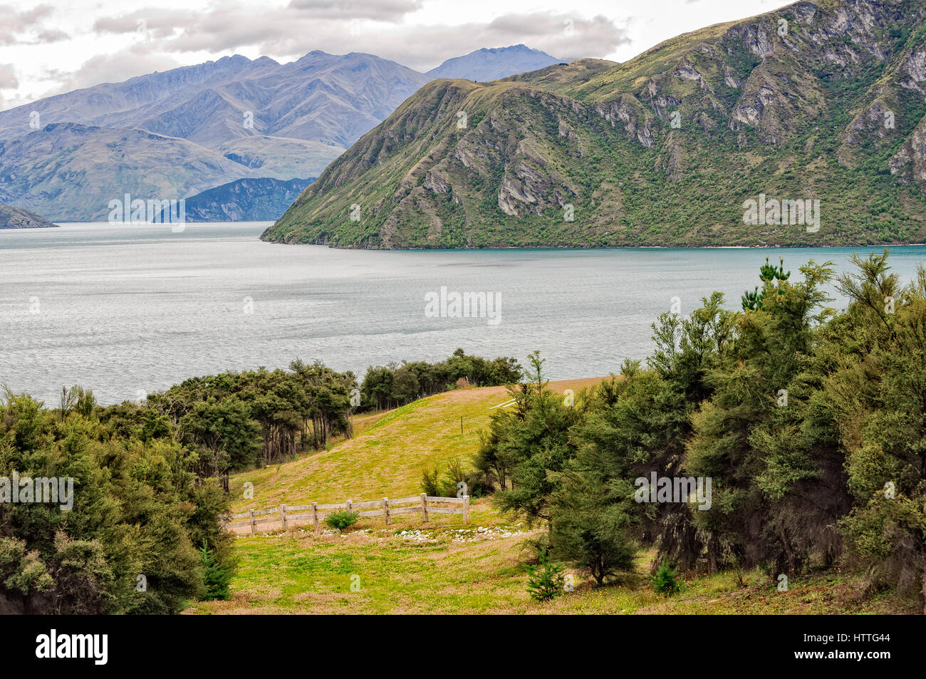 Paddock at a quiet corner of Lake Wanaka - Otago, New Zealand Stock ...