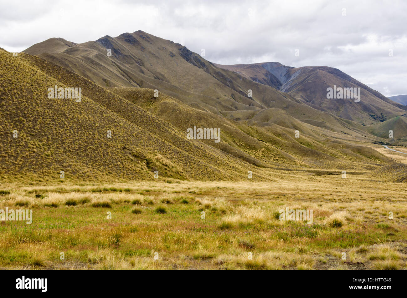 Tussocks island hi-res stock photography and images - Alamy