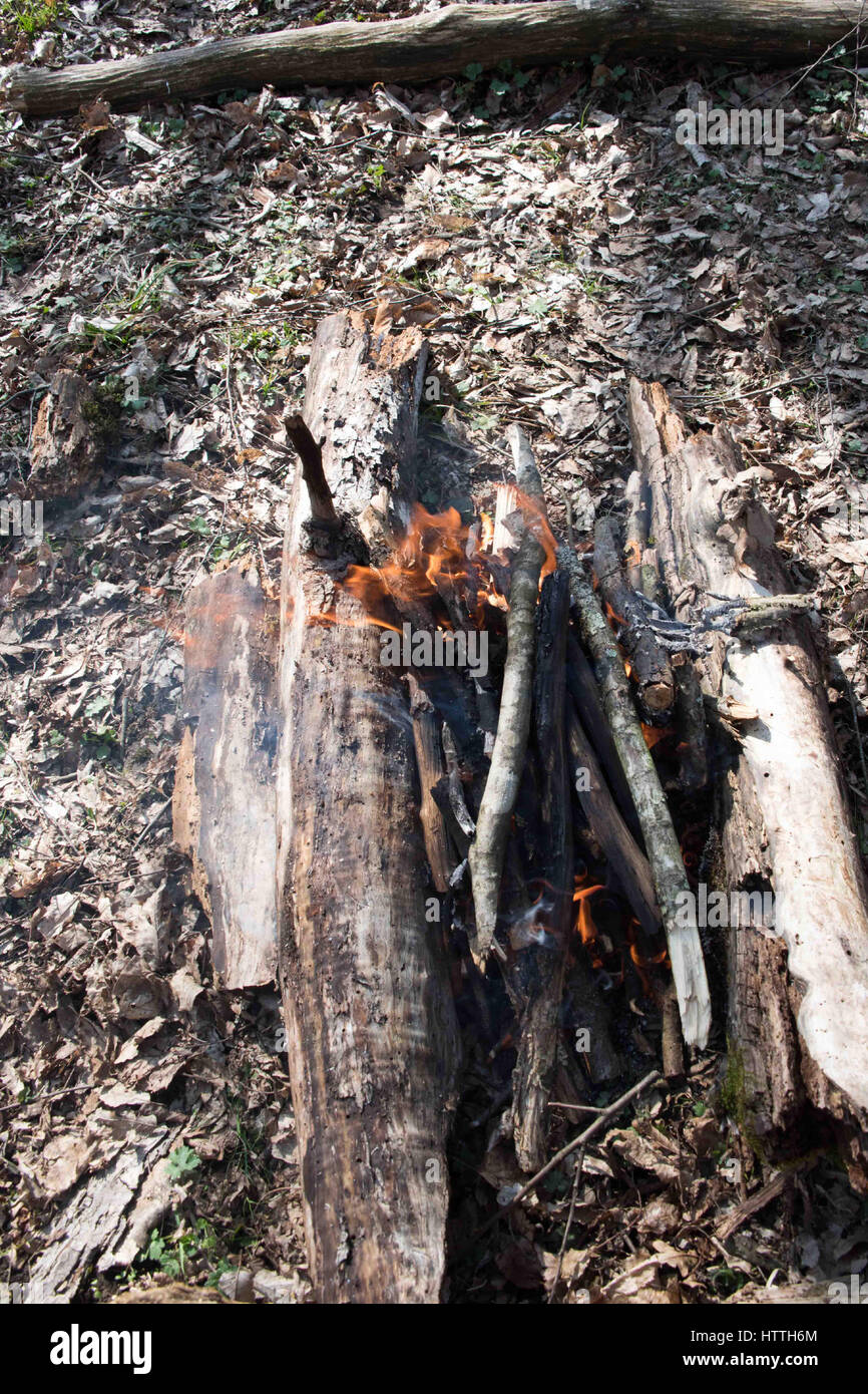 charcoal and fire flames. Ignite the fire Stock Photo - Alamy