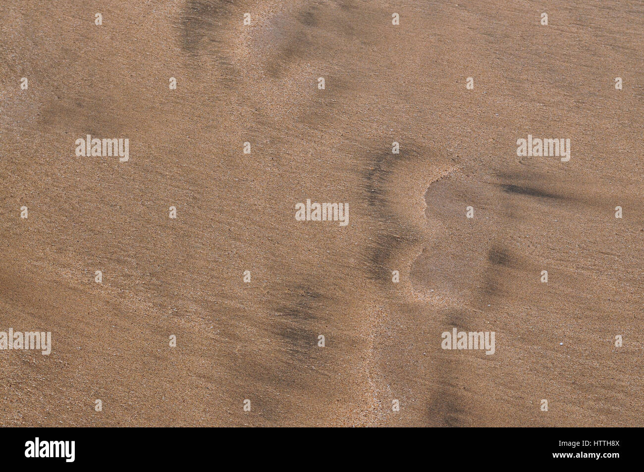faded washed away footprints in sand Stock Photo - Alamy