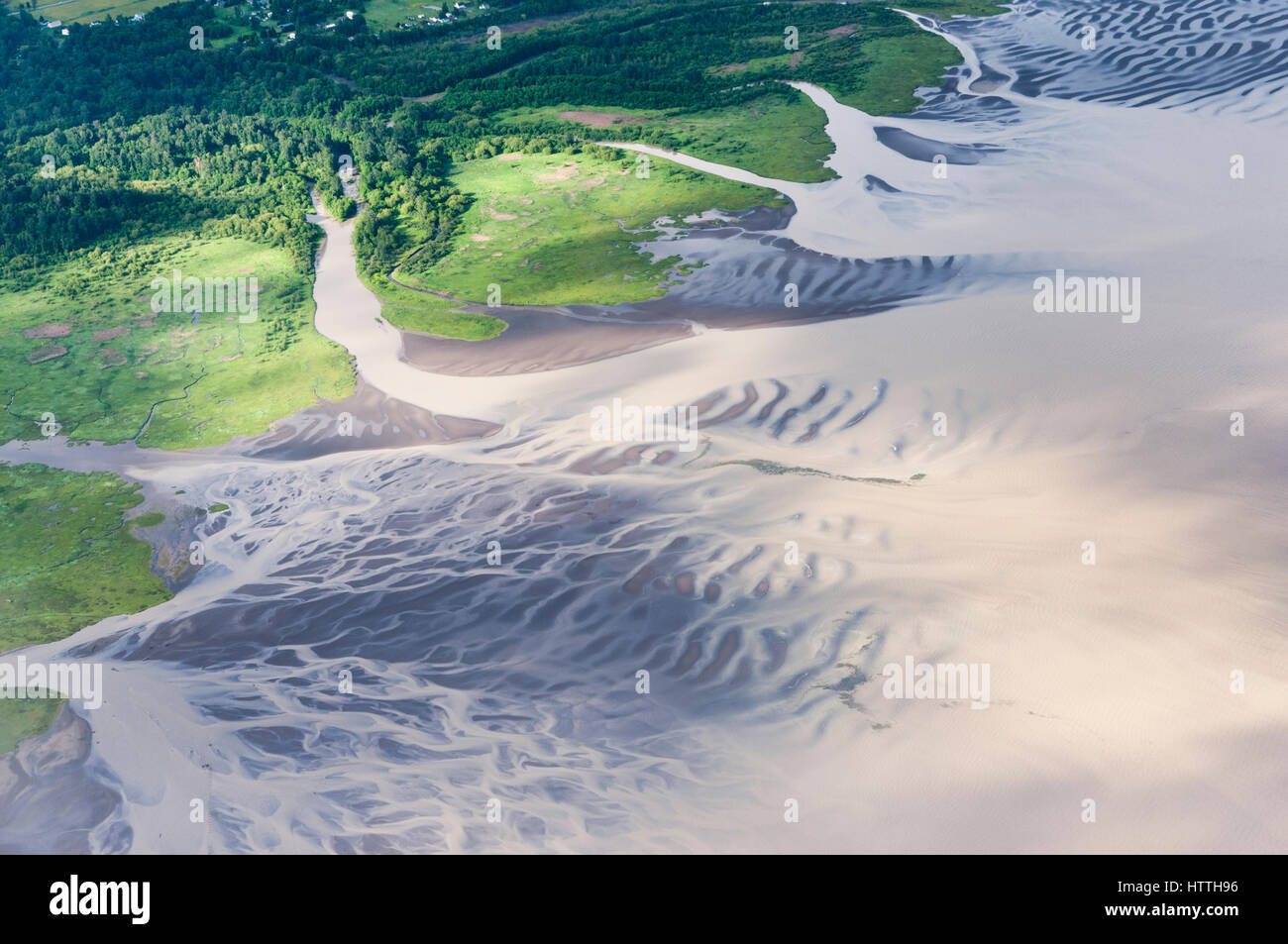 aerial view of rivers flowing into a fertile delta in the pacific ...