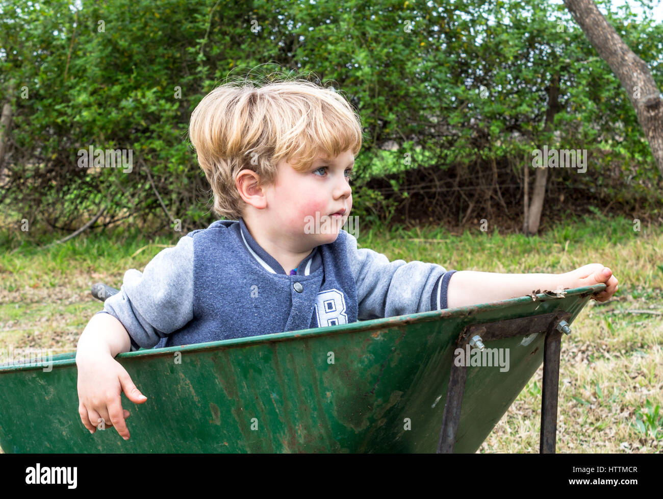Cute little pensive blonde boy with pink cheeks sitting in wheel barrow ...