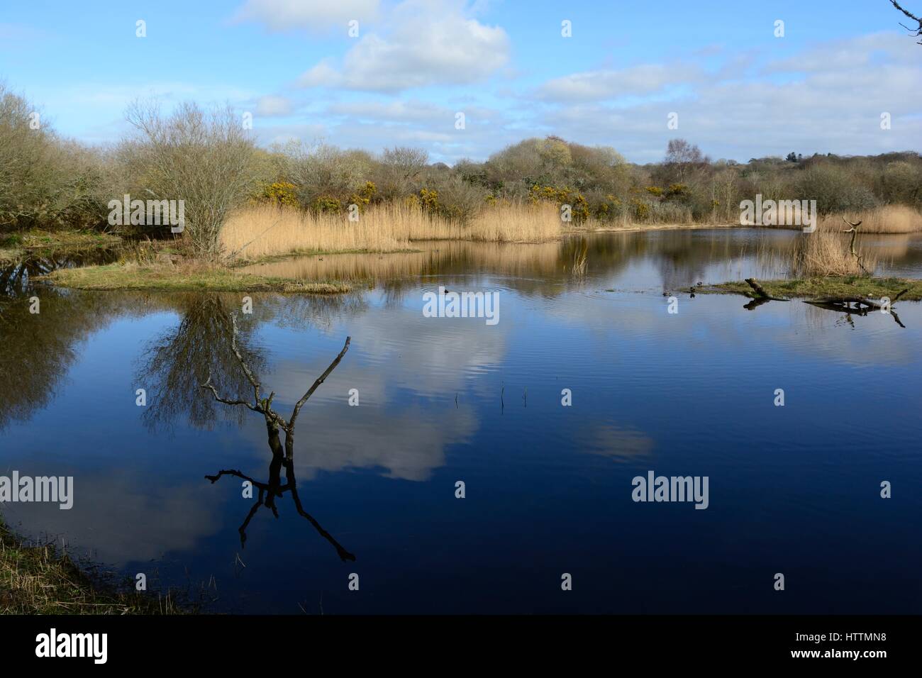 Welsh marshes hi-res stock photography and images - Alamy