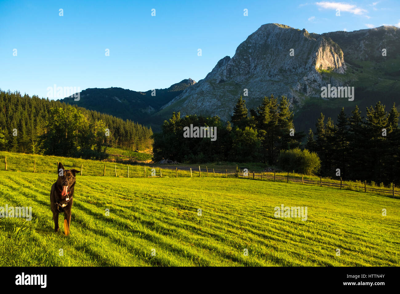 Landscape in Basque Country Spain Europe Stock Photo - Alamy