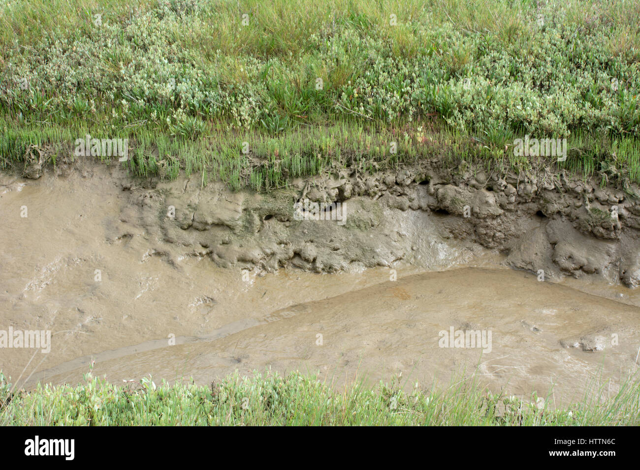 Silty soil hi-res stock photography and images - Alamy