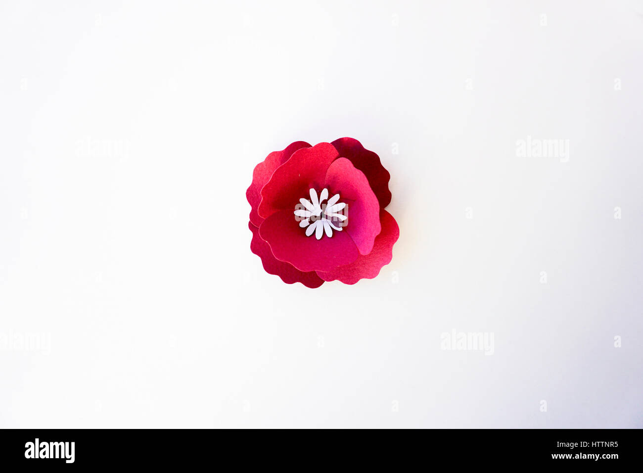 Handmade Papercraft Flowers Isolated Art Stock Photo - Alamy