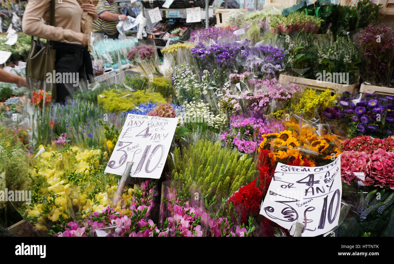 Beautiful Colourful Flowers Street Stock Photo - Alamy