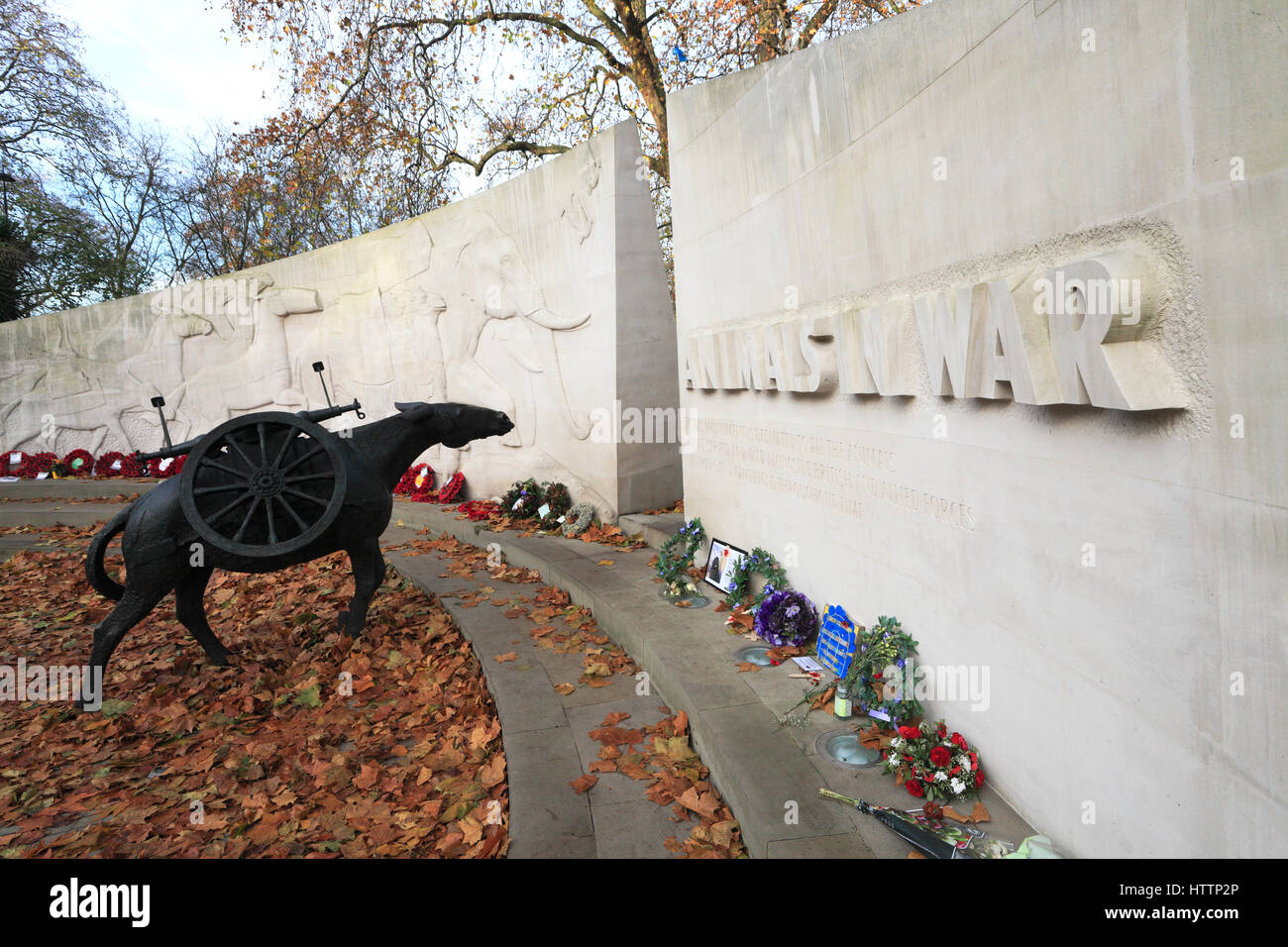 Animals in war memorial hyde park hi-res stock photography and images ...