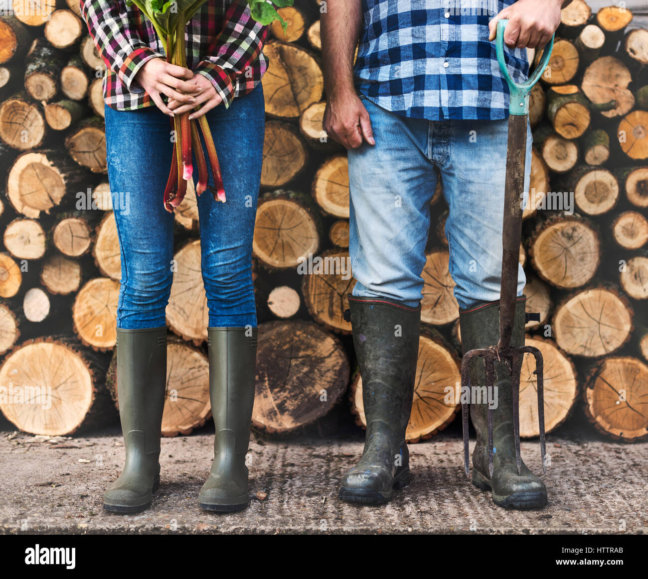 Log of fuelwood hi-res stock photography and images - Alamy