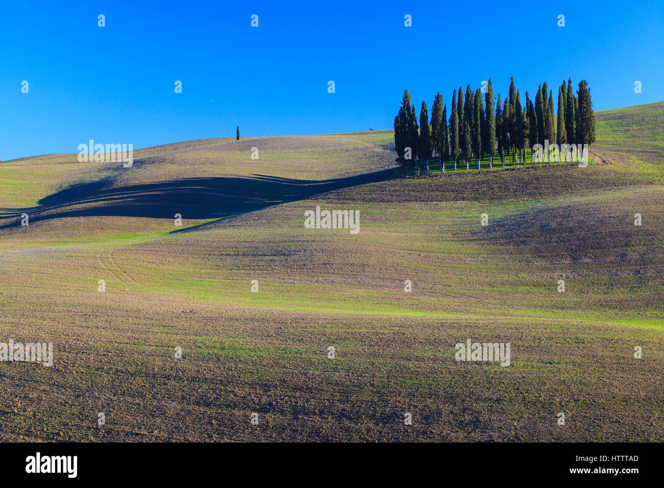 Orgad hi-res stock photography and images - Alamy