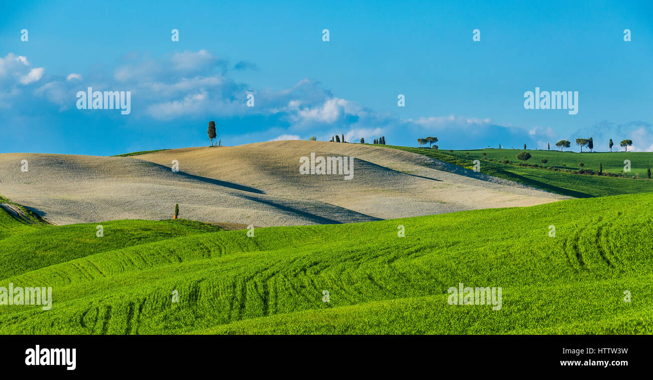 Countryside in Orcia Valley, Siena district, Tuscany, Italy Stock Photo ...