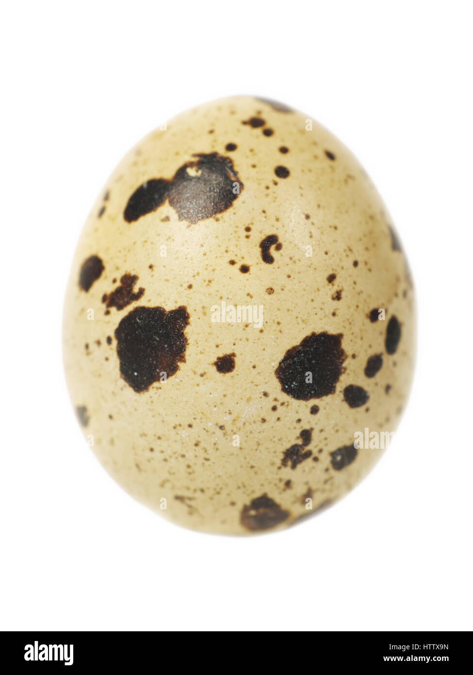 Single egg isolated on white Stock Photo - Alamy