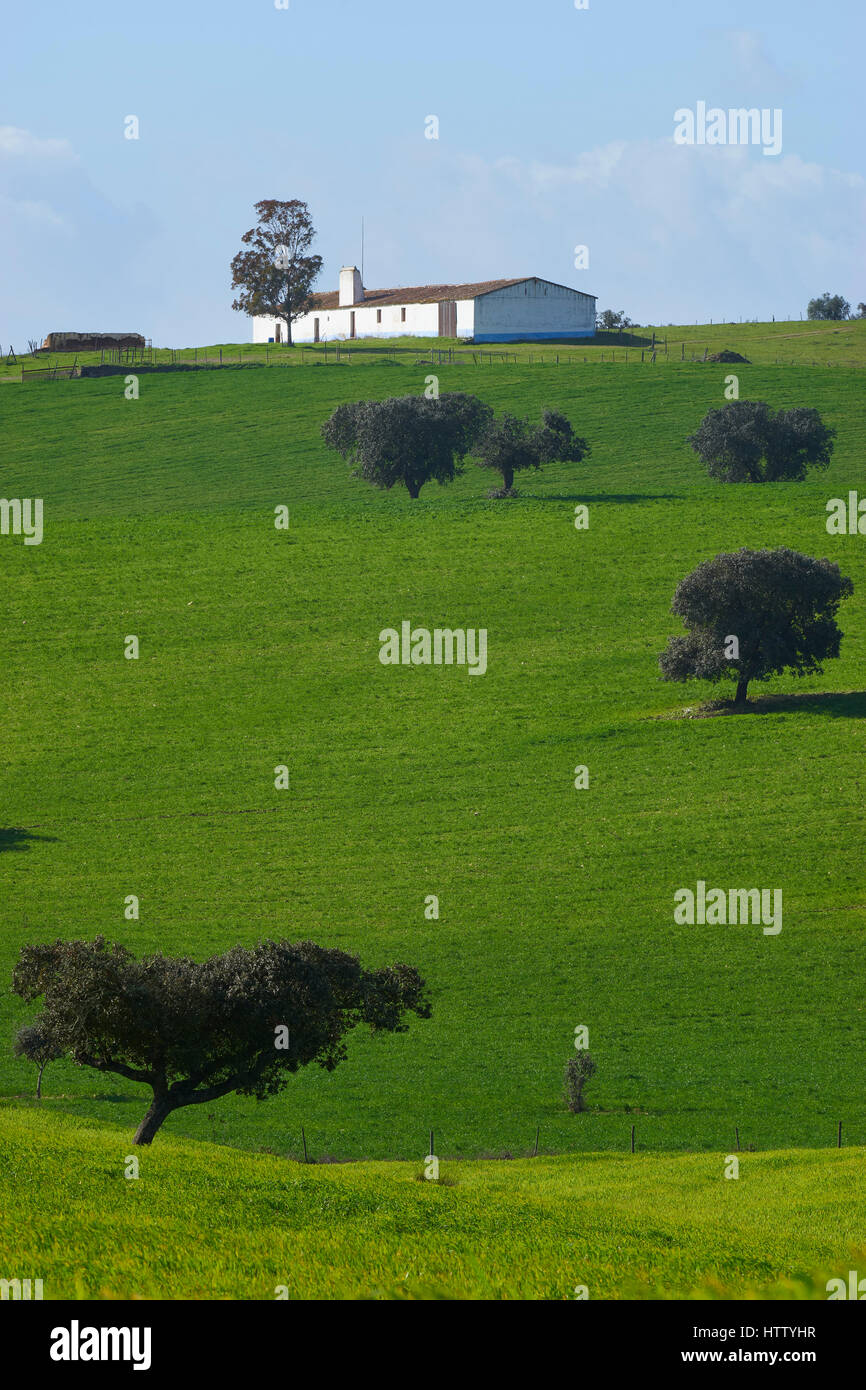 Farm building and countryside scene near Santo António do Baldio ...