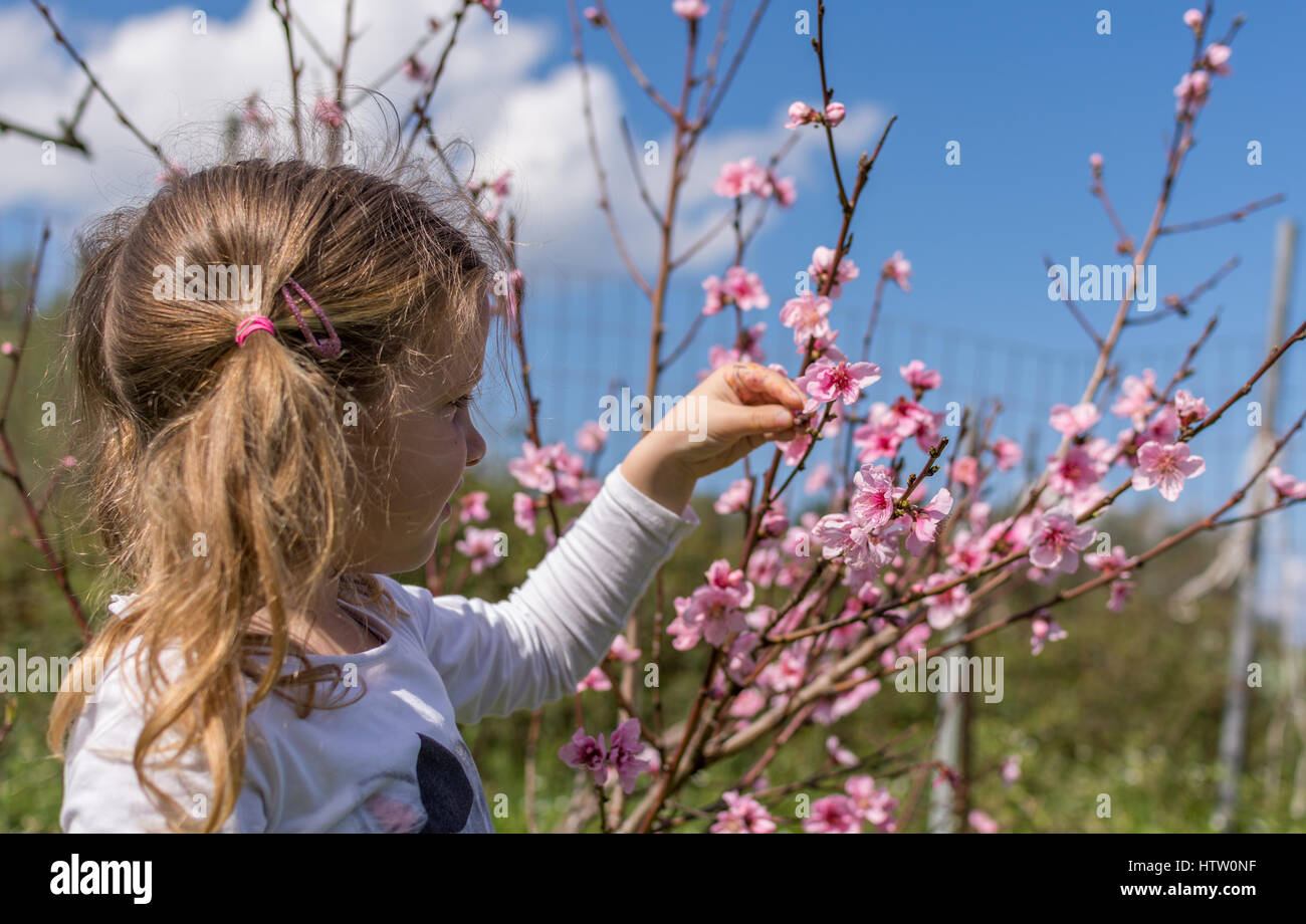 Little girl picking flowers in the spring Stock Photo - Alamy