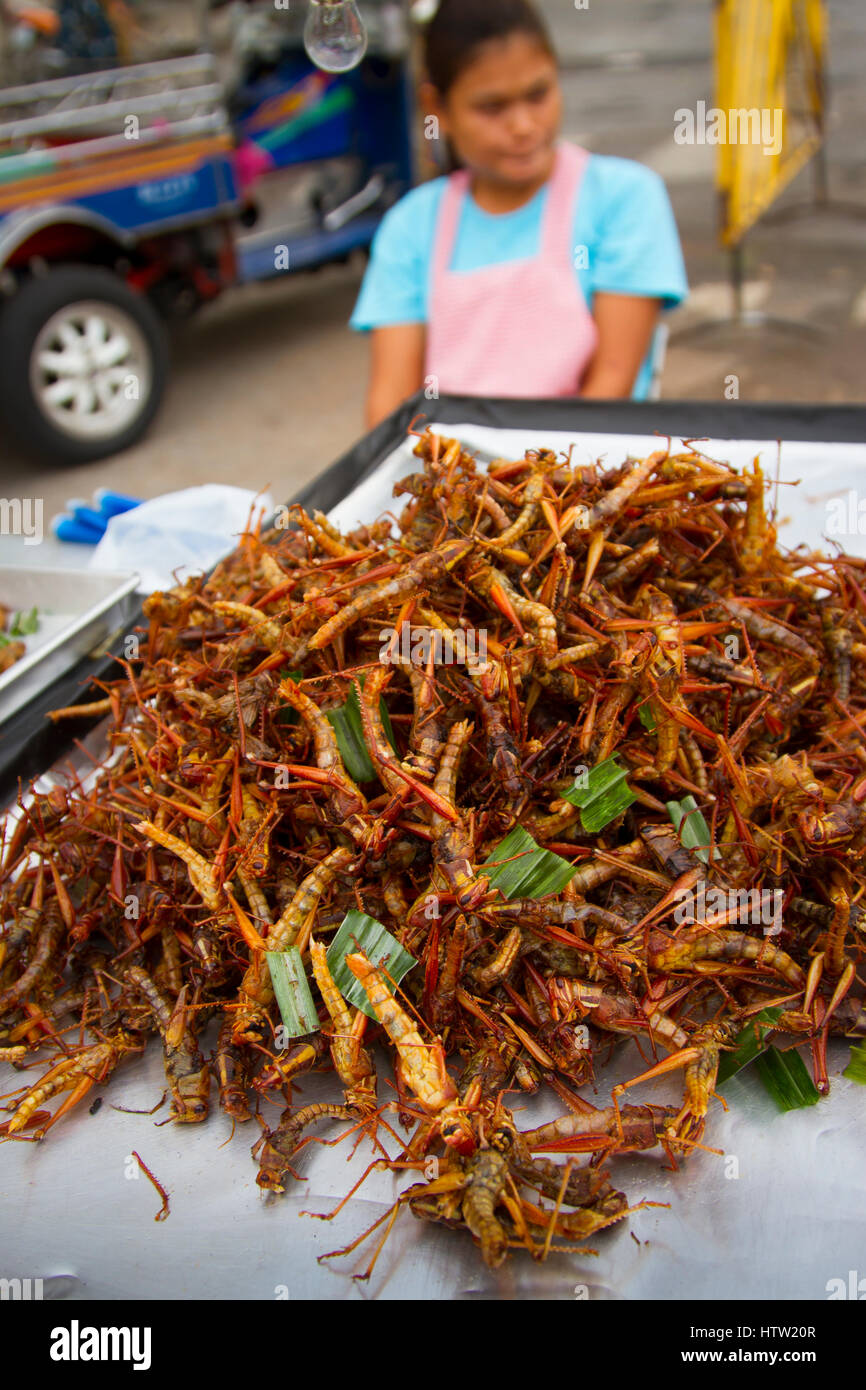 Insect for eat in a street stall Stock Photo - Alamy