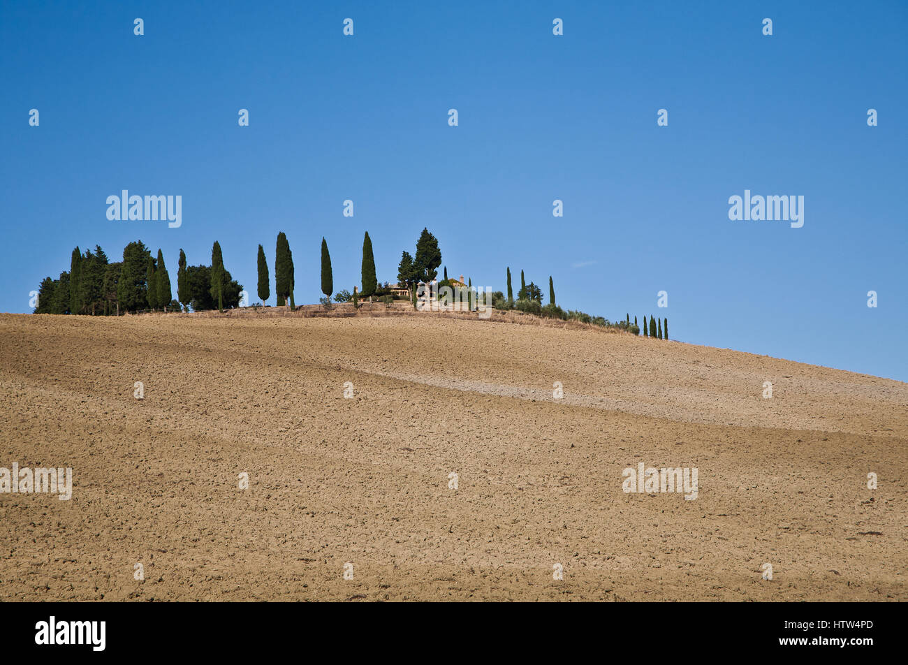 Iconic Tuscan landscape Stock Photo - Alamy