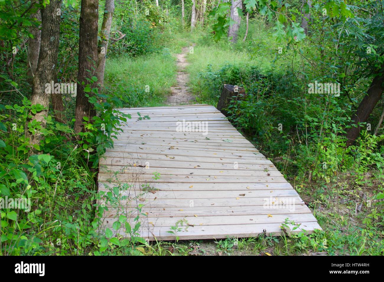 Lawn trees path benches hi-res stock photography and images - Alamy