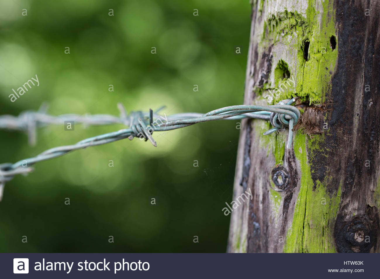 Broken Barbed Wire Stock Photos & Broken Barbed Wire Stock Images - Alamy