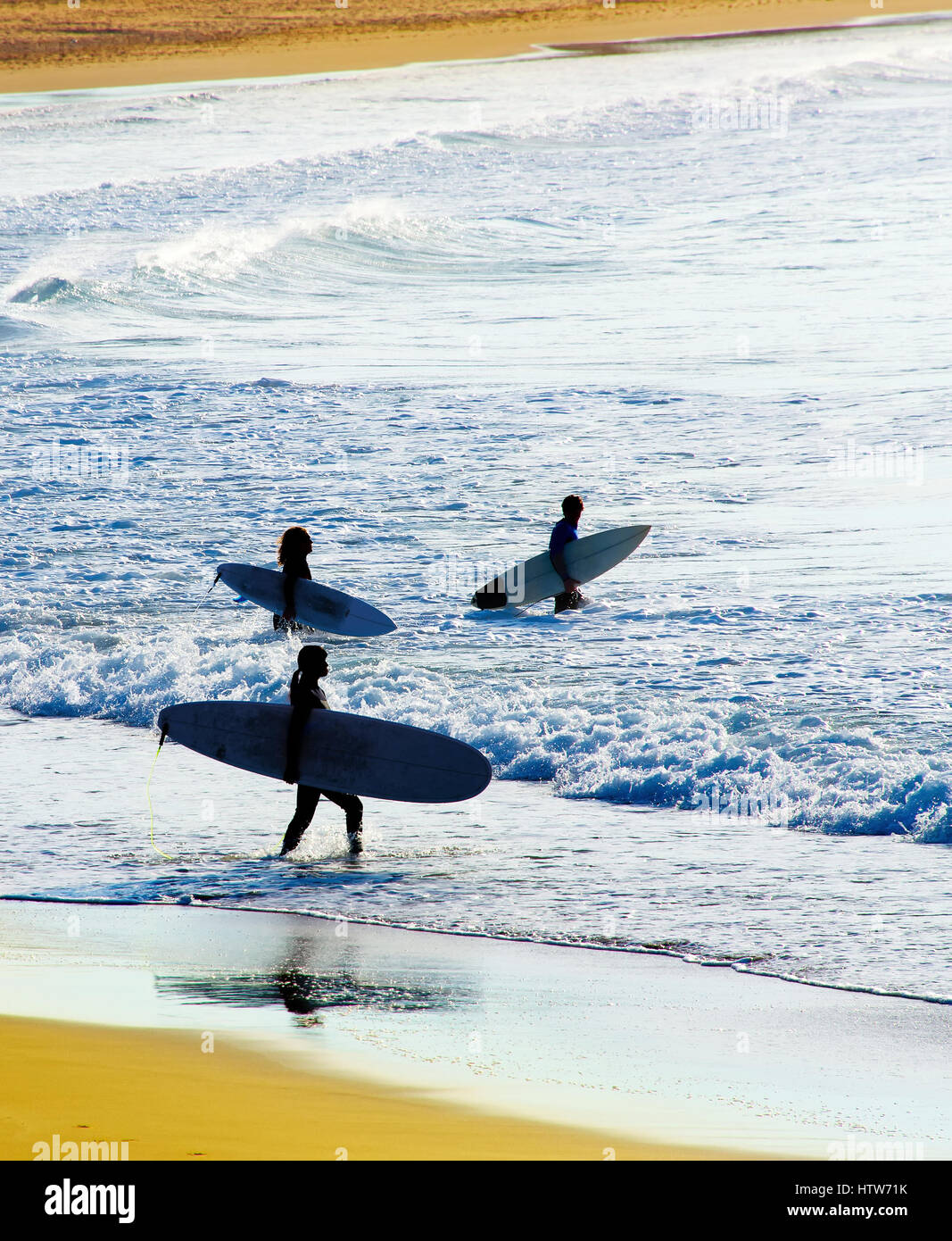 Surfers going to surf in the ocean at sunset Stock Photo - Alamy