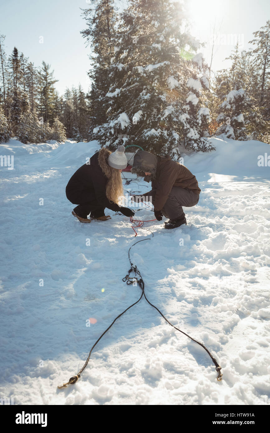 Sled preparation hi-res stock photography and images - Alamy