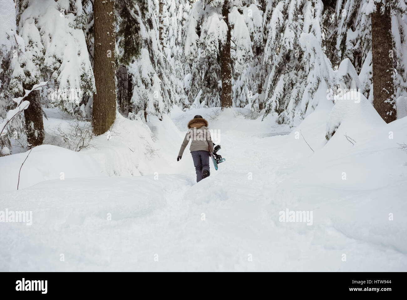 Female skier walking with ski on snowy landscape Stock Photo - Alamy