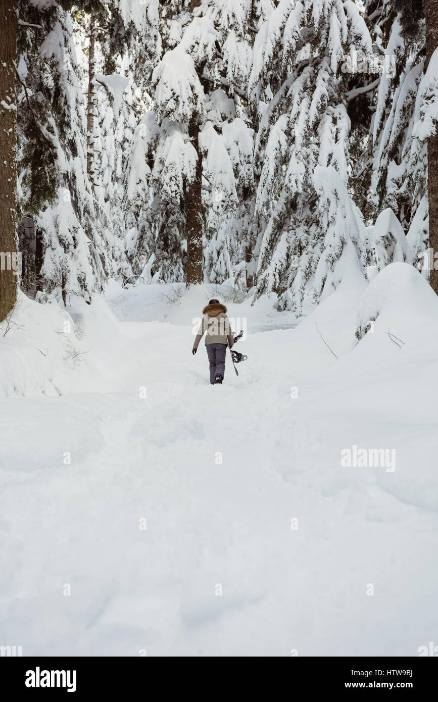 Female skier walking with ski on snowy landscape Stock Photo - Alamy