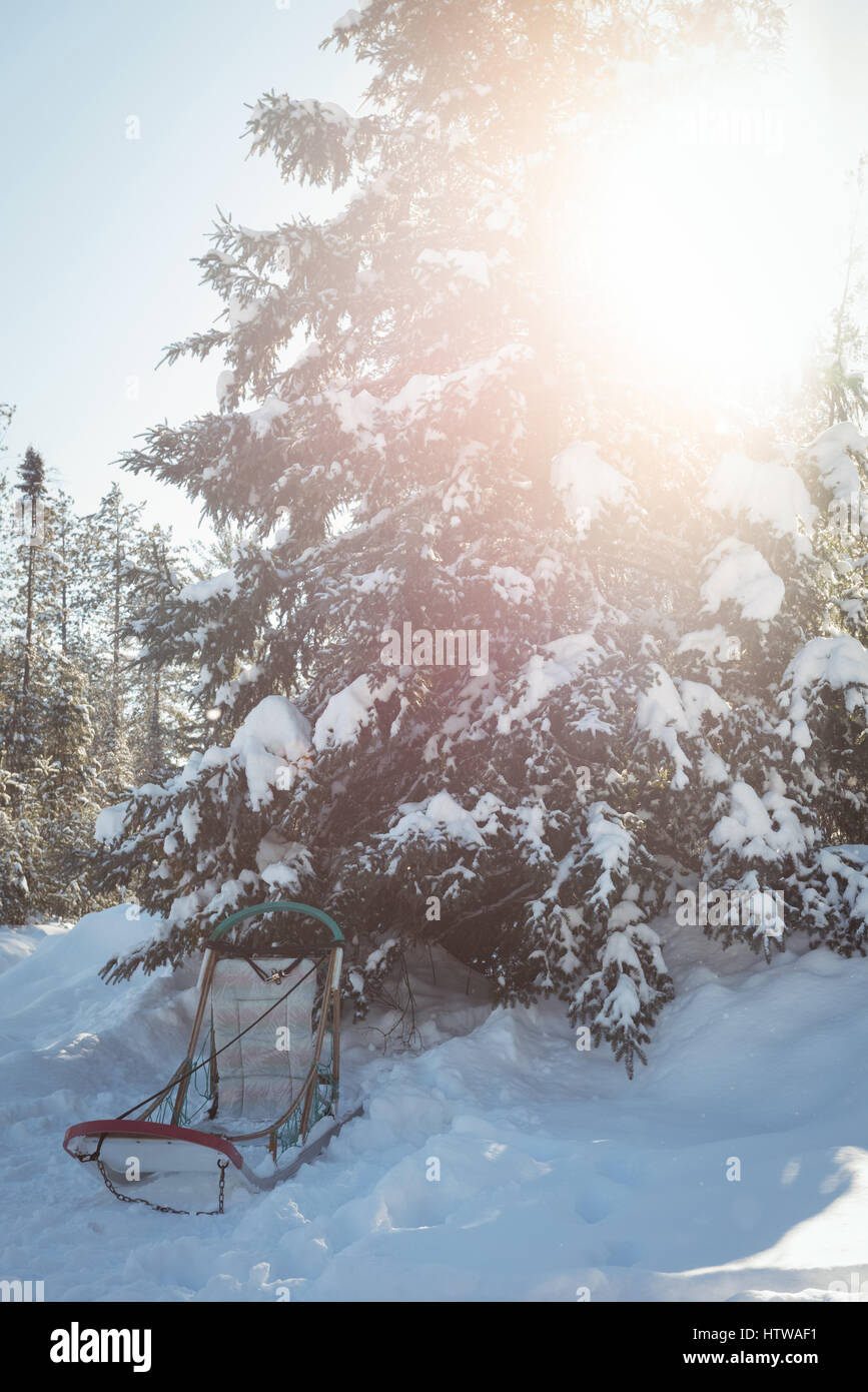 Sledge carriage hi-res stock photography and images - Alamy