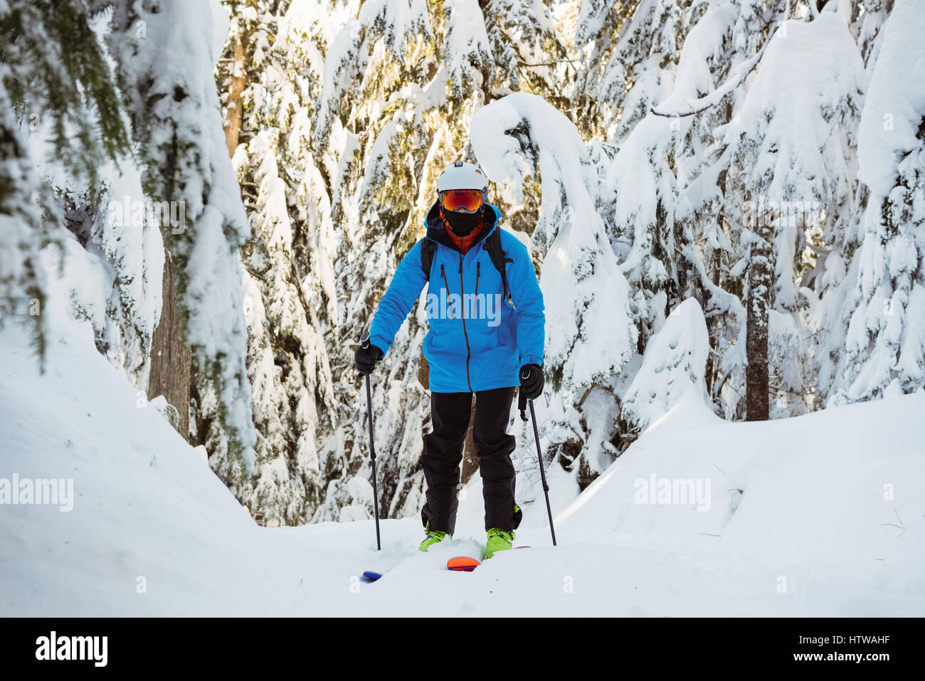 Walking with ski poles hi-res stock photography and images - Alamy