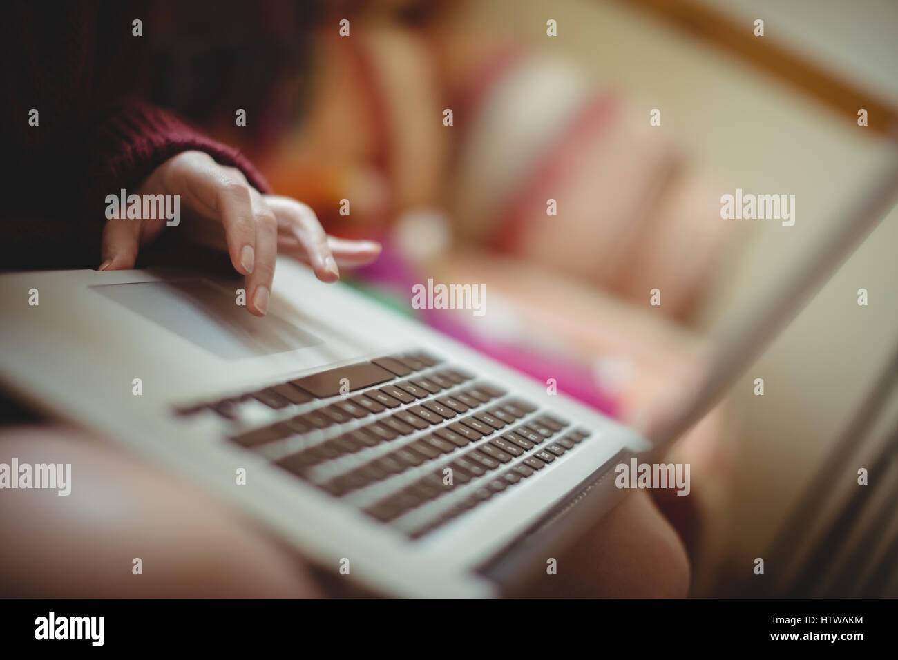 Mid section of woman using a laptop Stock Photo - Alamy
