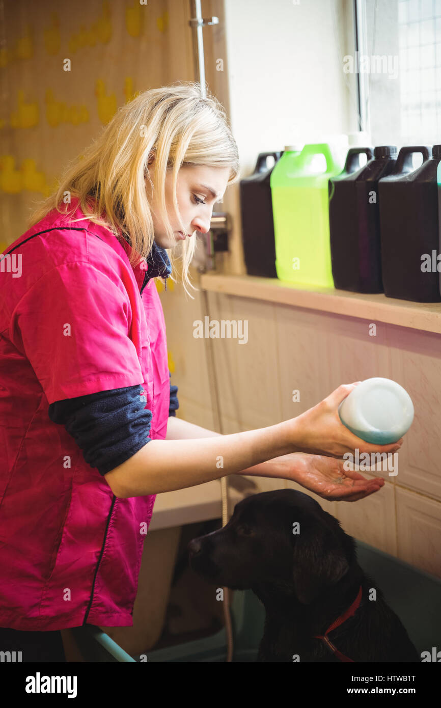 Man bathing a dog hi-res stock photography and images - Alamy