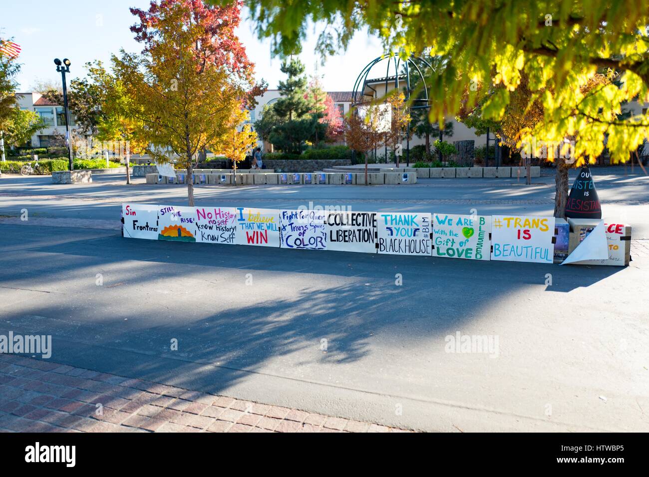 Handwritten protest posters for various causes including Black Live ...