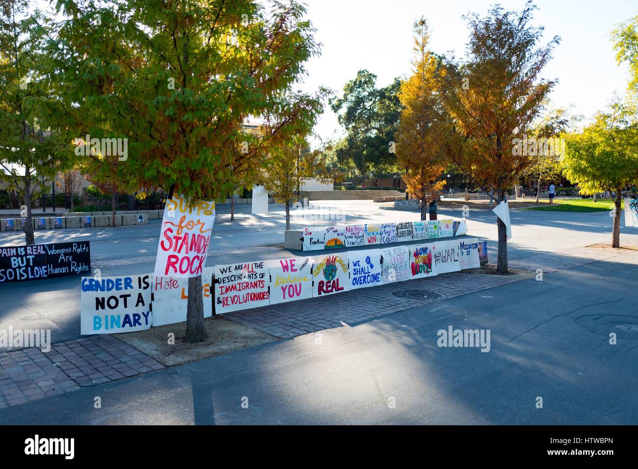 Handwritten protest posters for various causes including Black Live ...
