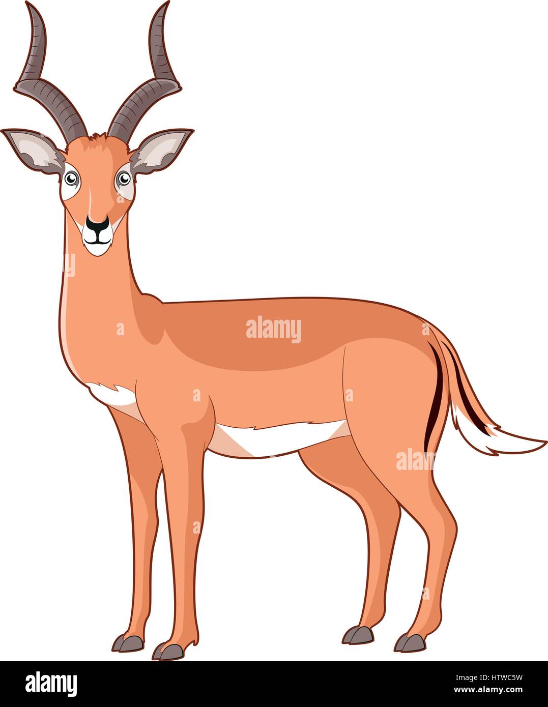 Impala antelope head Cut Out Stock Images & Pictures - Alamy