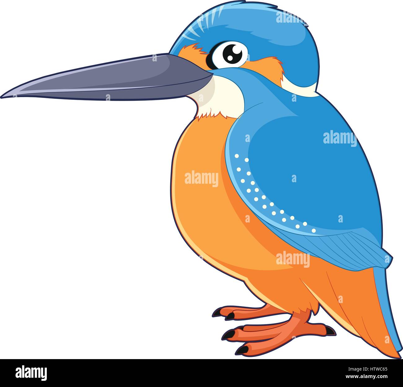 Kingfisher fish beak Stock Vector Images - Alamy