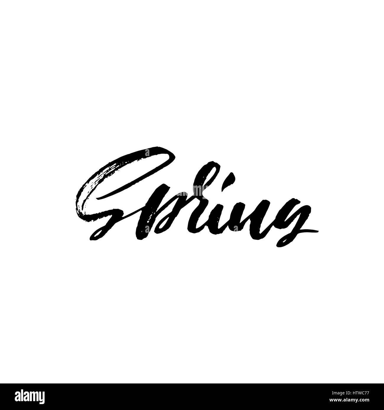 Handwritten lettering. Spring. Hand drawn calligraphy letters. Vector ...