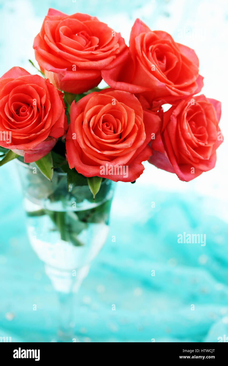 Five orange roses Stock Photo - Alamy