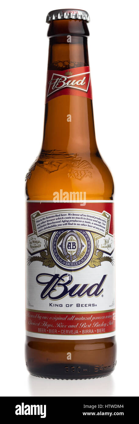 Budweiser Backgrounds